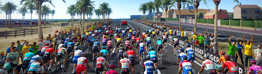 Tour de France Guide